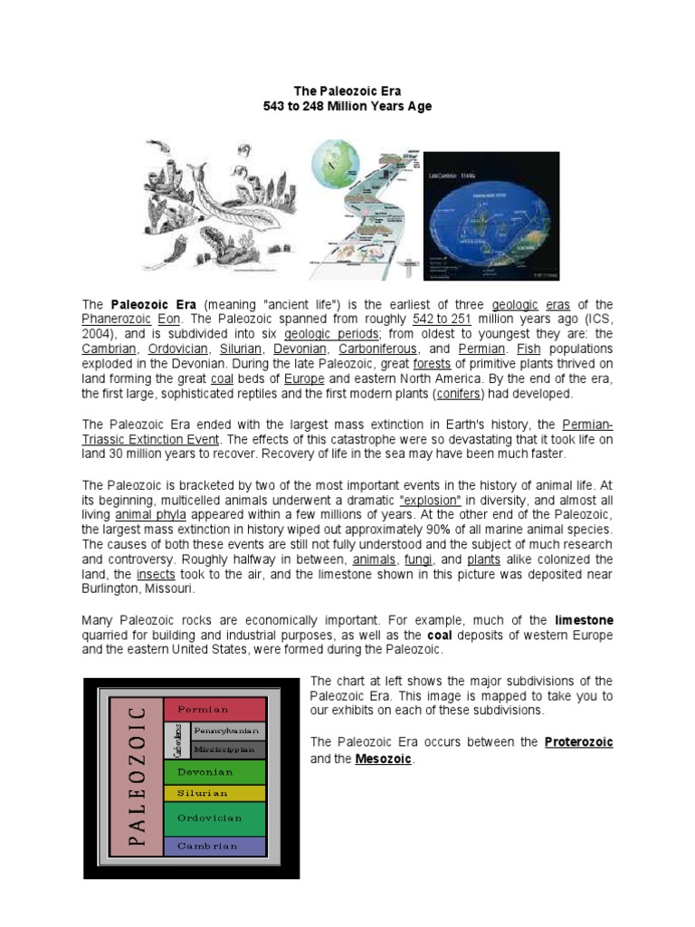 Overview of the Paleozoic Era | PDF | Nature | Earth Sciences