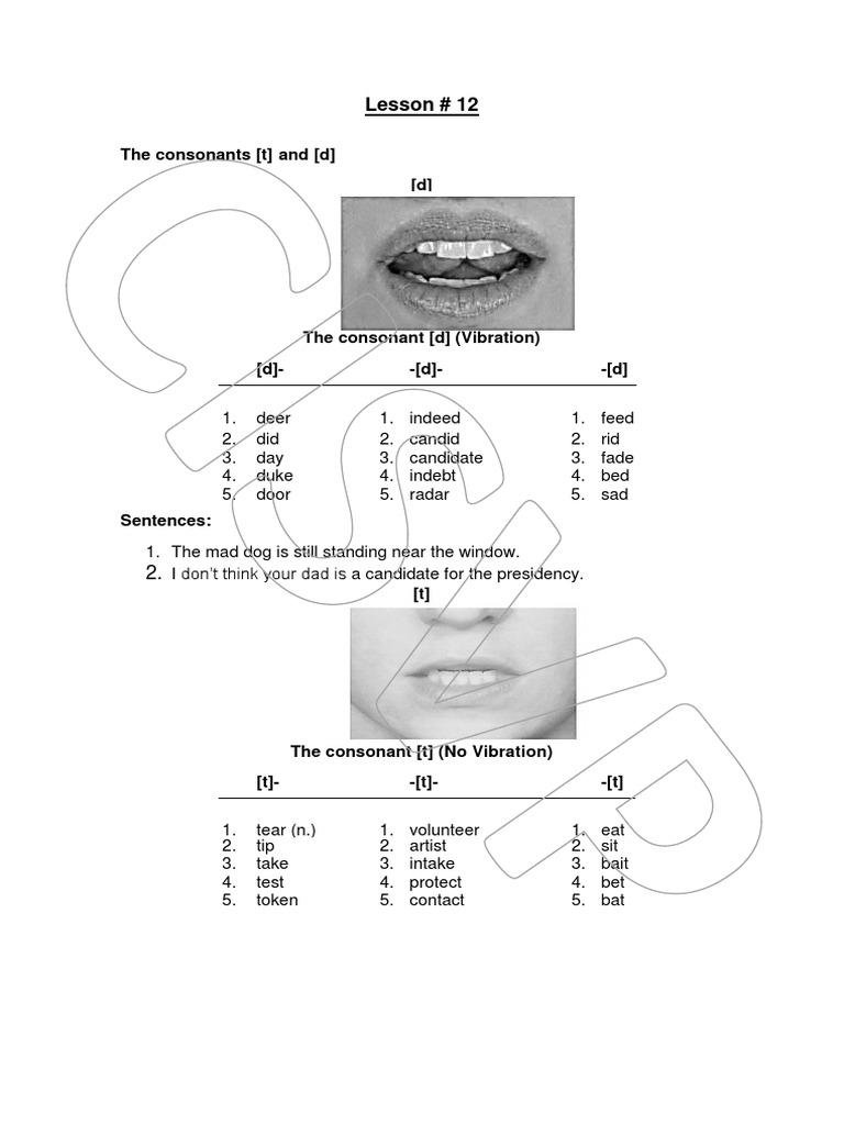 Lesson # 12: The Consonants (T) and (D) (D) | PDF | Consonant | Languages
