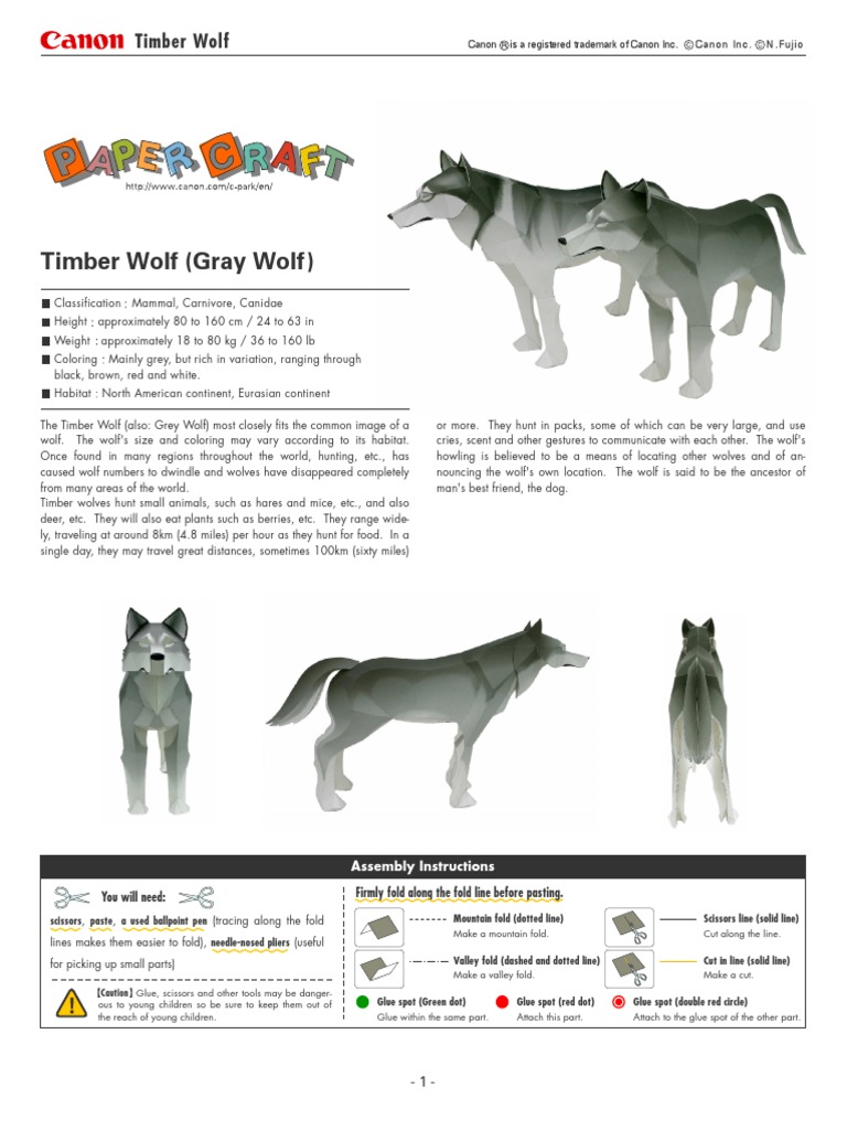 Timber Wolf (Gray Wolf) | PDF | Nature