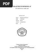 Laporan Praktikum Uji Aktivitas Enzim Amilase | PDF