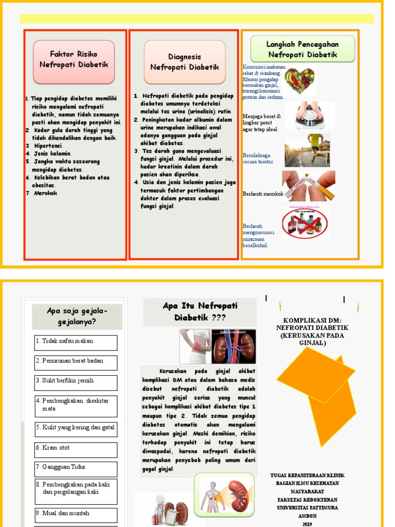 Leaflet Nefropati Diabetik | PDF