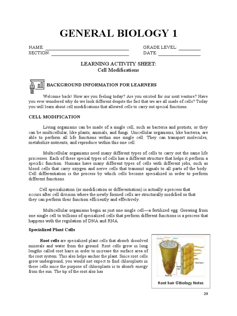 General Biology 1: Learning Activity Sheet: Cell Modifications | PDF ...