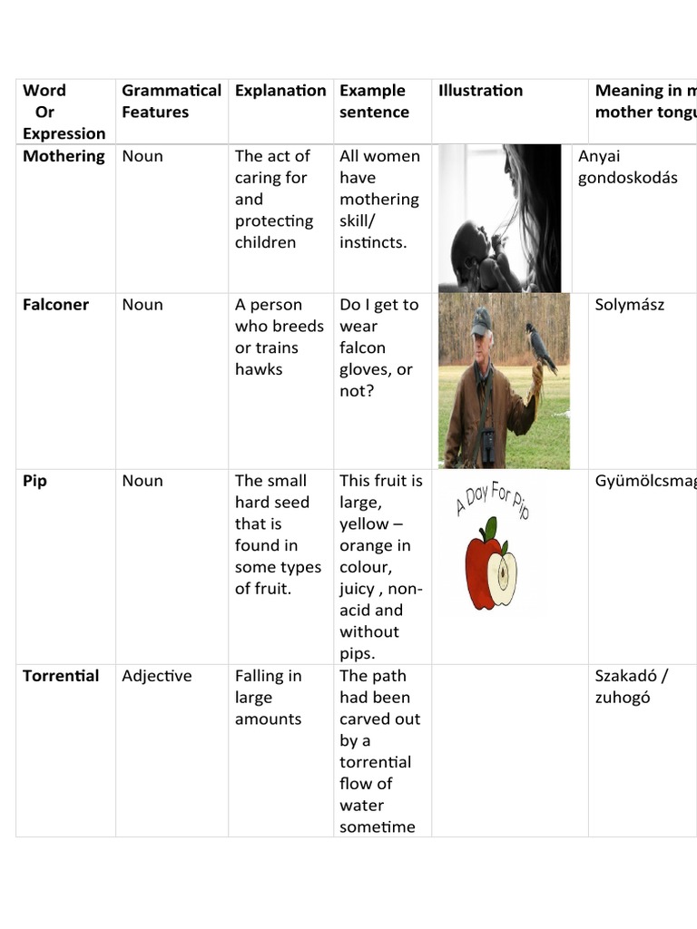 Combined Voc Chart | PDF | Noun | Seed