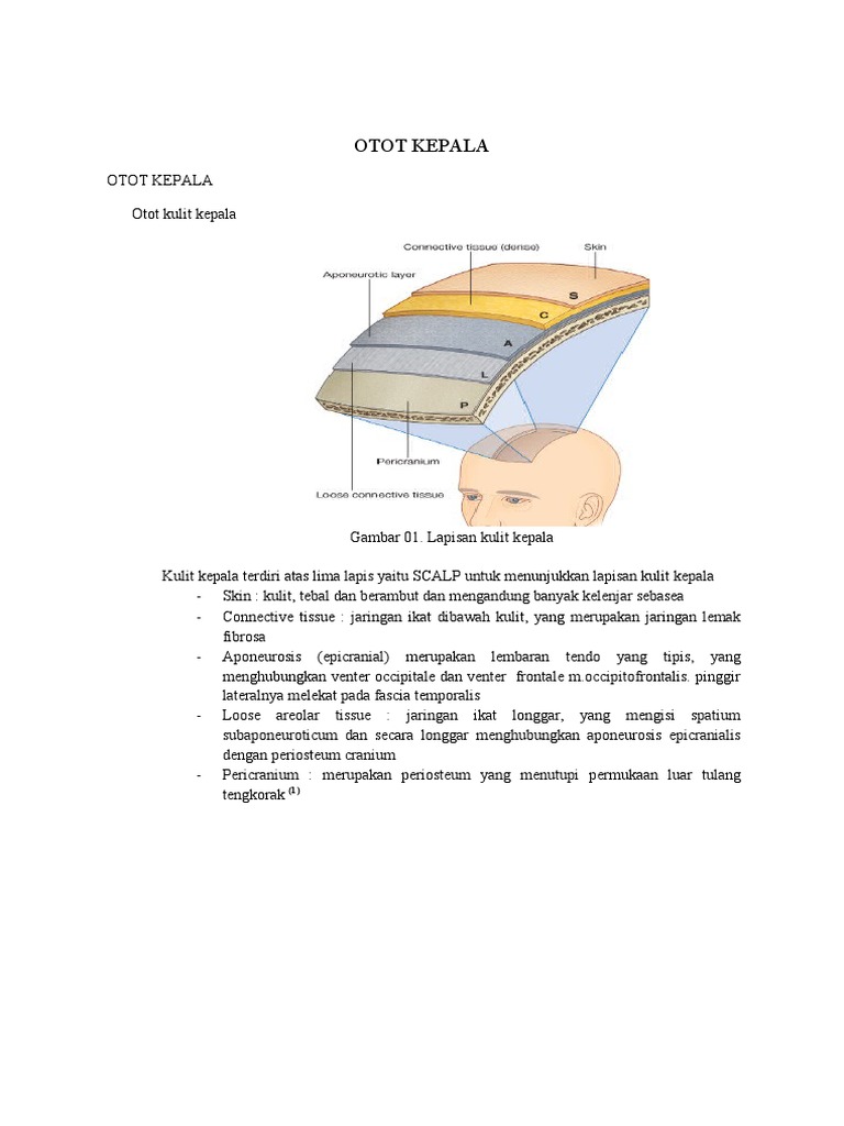 Topik 2 Biomedik | PDF
