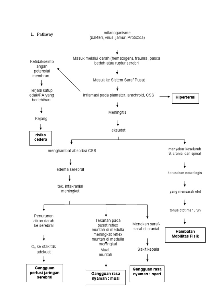 Pathway Meningitis | PDF