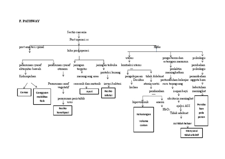 Pathways Post Partum Sectio Caesaria | PDF