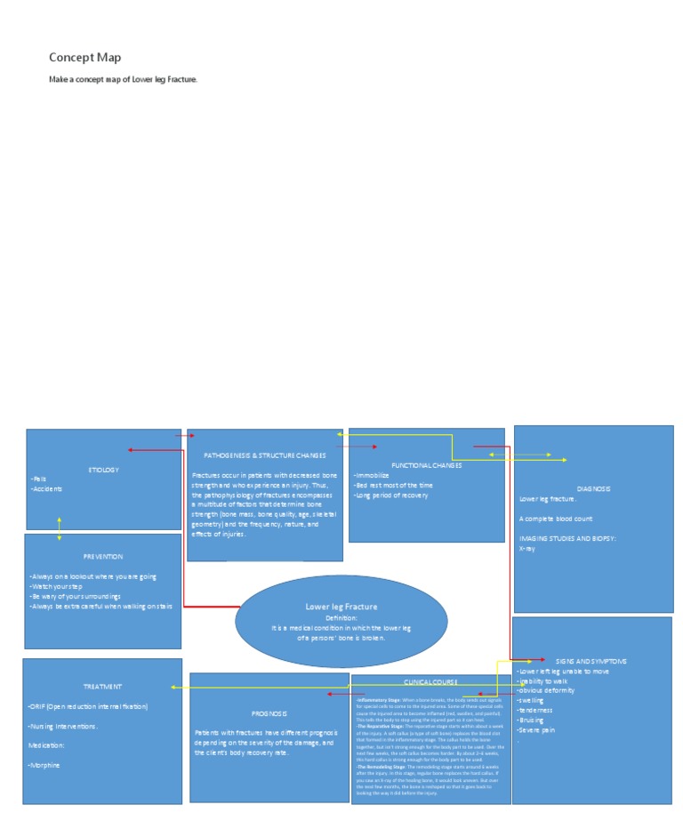 Day 2 Concept Map | PDF | Bone | Epidemiology
