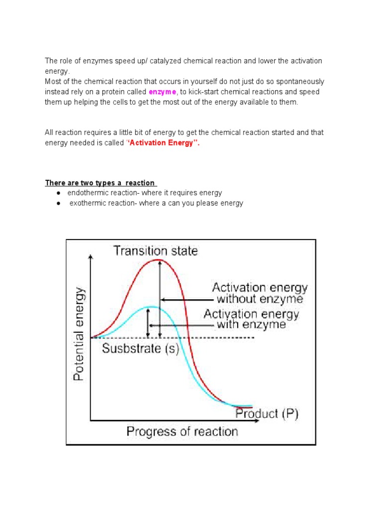 Enzymes Activation Energy | PDF | Enzyme | Activation Energy
