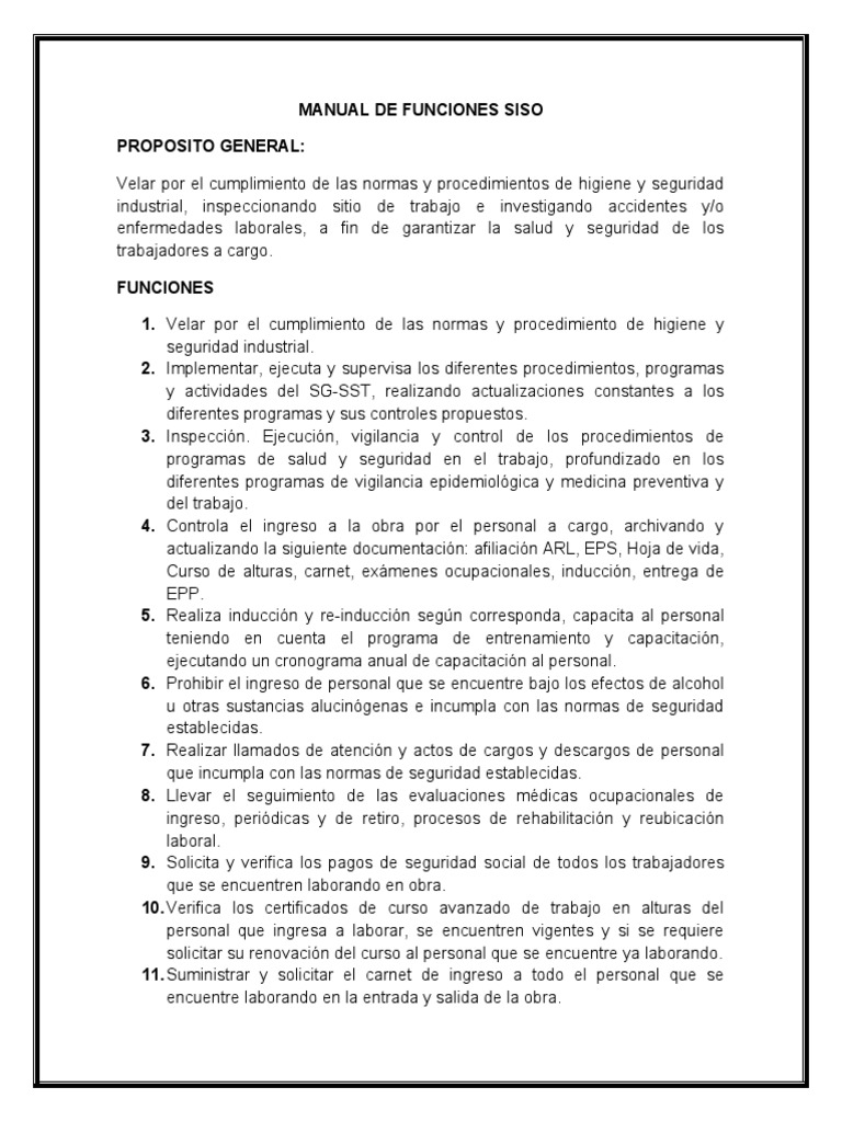 Manual de Funciones Siso | PDF | Labor | Bienestar