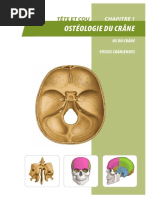 Anatomie et Fractures du Rocher | PDF | Tête et cou chez l'humain ...
