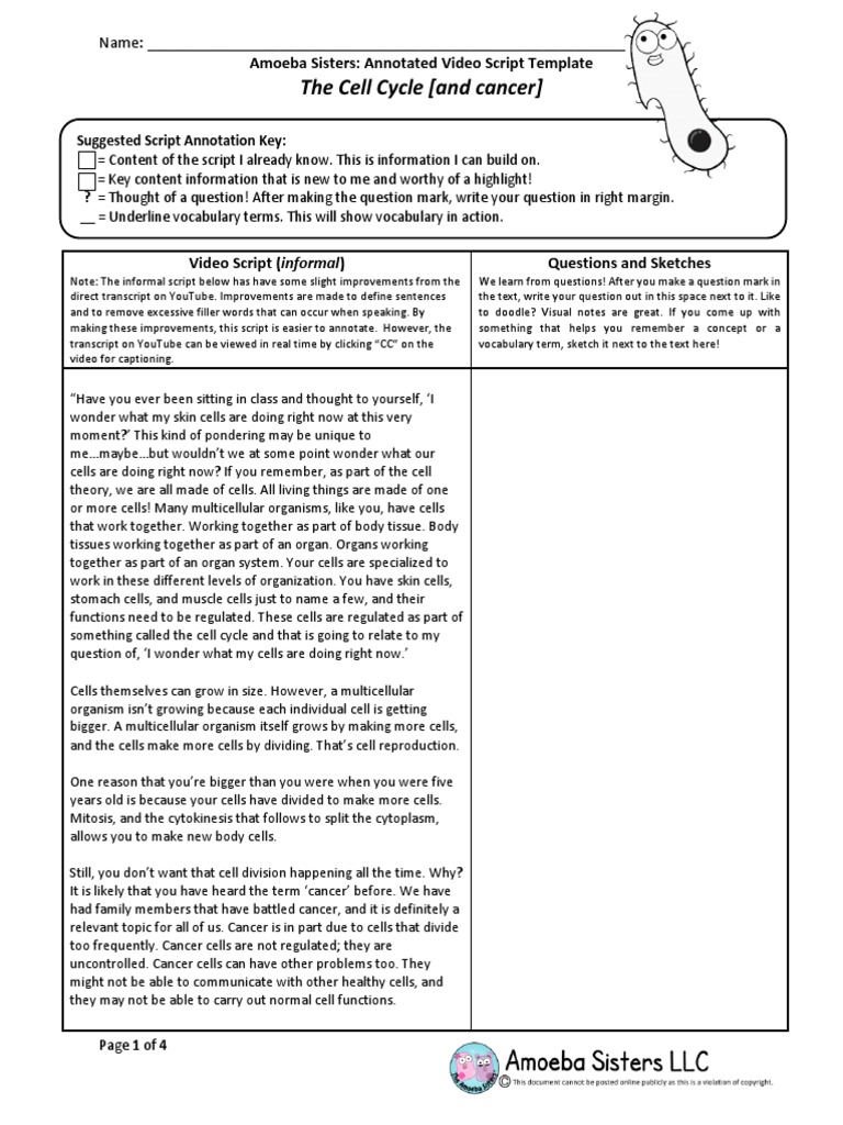 Annotated Video Script TEMPLATE Cell Cycle by Amoeba Sisters | Download ...