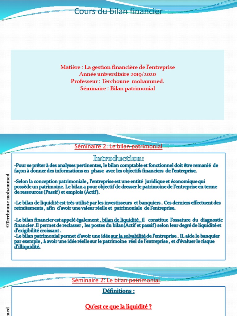 Bilan Patrimonial PDF | PDF | Bilan comptable | Capitaux propres