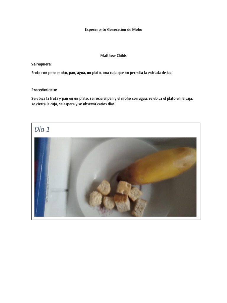Experimento Generación De Moho Pdf