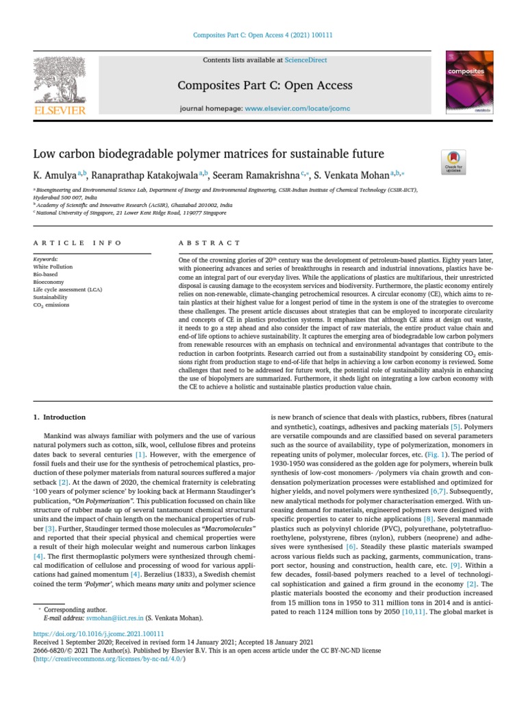 Low Carbon Biodegradable Polymer Matrices For Sustainable Future | PDF ...