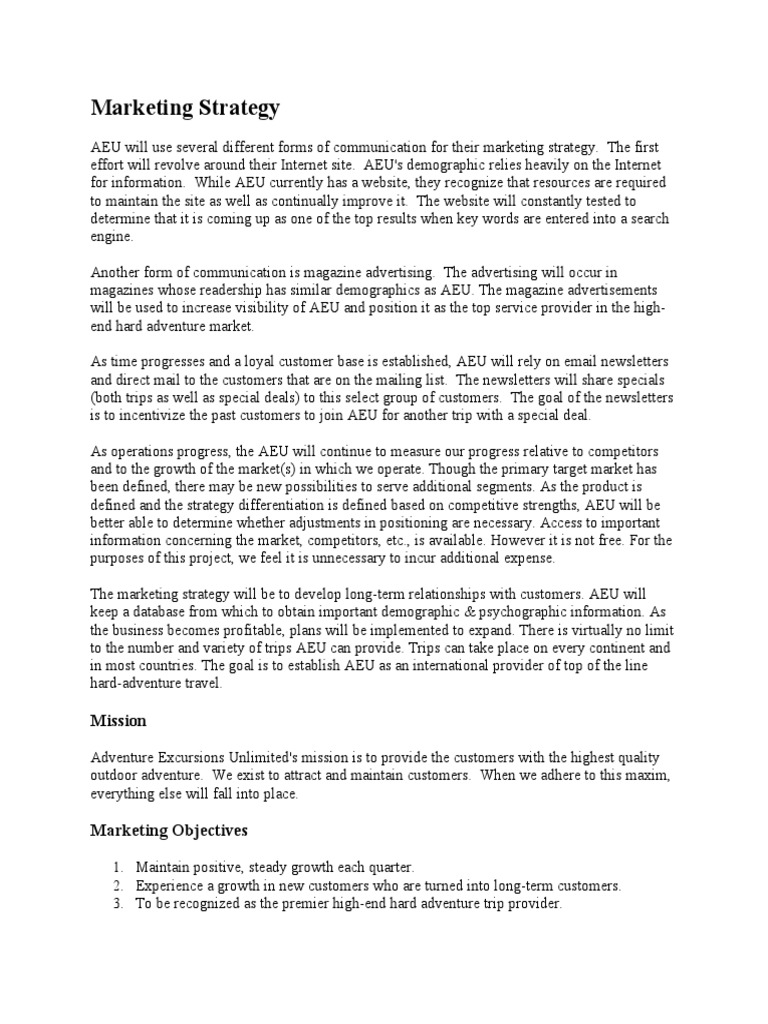 Marketing Strategy | PDF | Marketing | Marketing Strategy