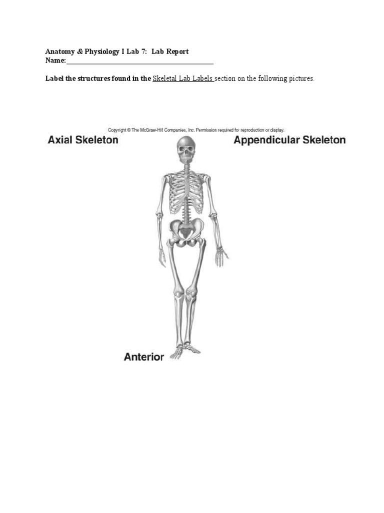 Chapter 7 Lab Report 2 | PDF