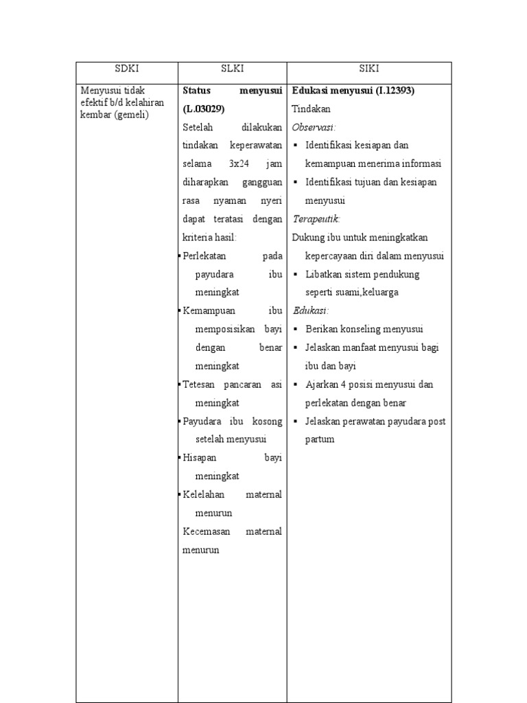 Slki Status Menyusui (SDKI, SLKI, SIKI) | PDF