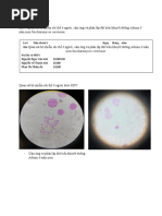 ĐỊNH LƯỢNG PROTEIN BẰNG PHƯƠNG PHÁP BRADFORD | PDF