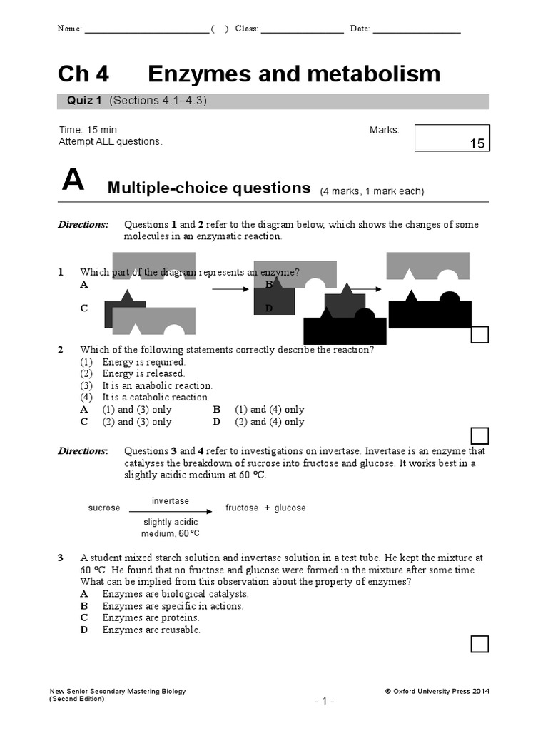 Ch4 Enzymes and Metabolism: Multiple-Choice Questions | PDF | Enzyme ...