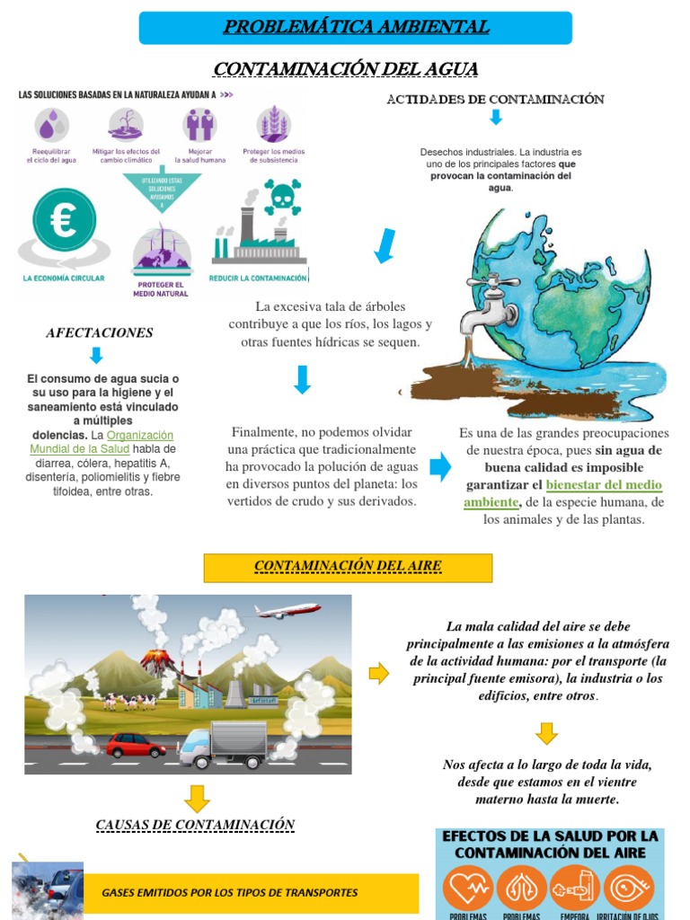 Infografia Problematica Ambiental | PDF | Contaminación | Residuos