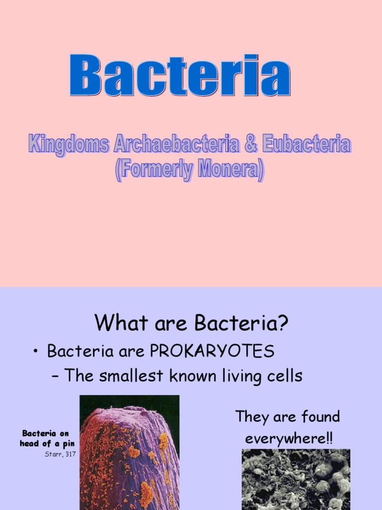 Bacteria Powerpoint | PDF | Bacteria | Archaea