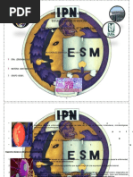 Factores Intrínsecos y Extrínsecos | PDF | Melanoma | Senectud