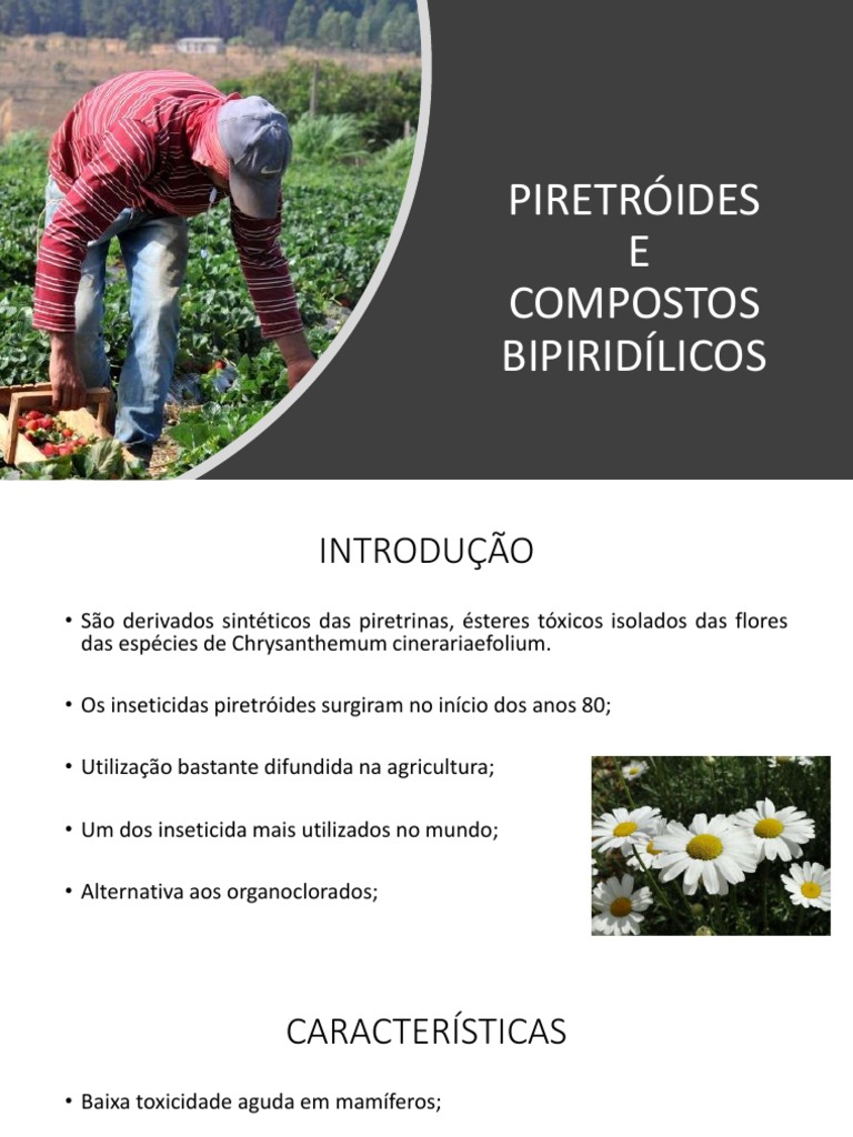 Piretróides e Bipiridílicos: Uso e Riscos | PDF | Inseticida | Desperdício