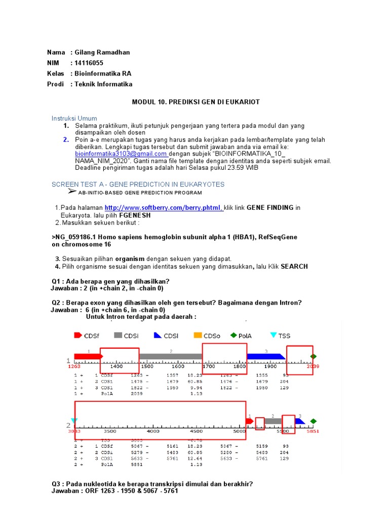Modul - 10 Bioinformatika 2020 | PDF
