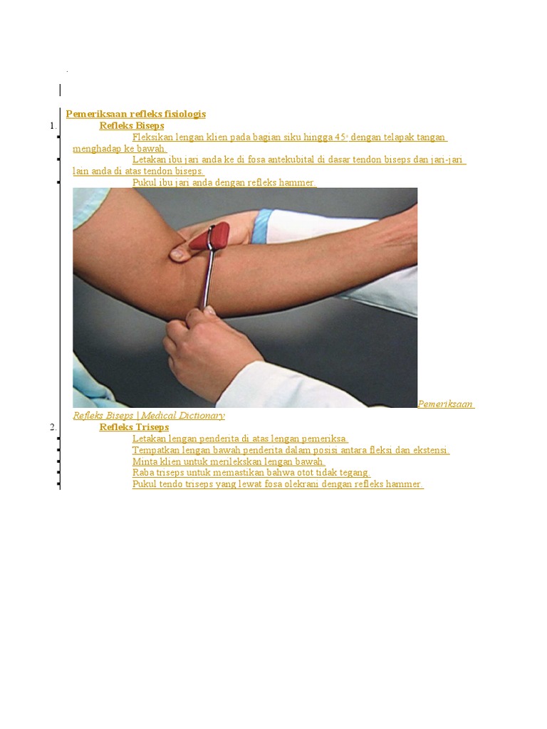 Pemeriksaan Refleks Fisiologis | PDF