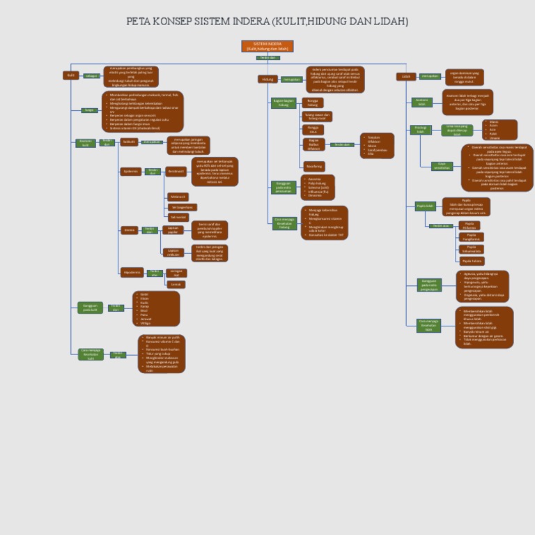 Peta Konsep Sistem Indera (Kulit, Hidung Dan Lidah) | PDF
