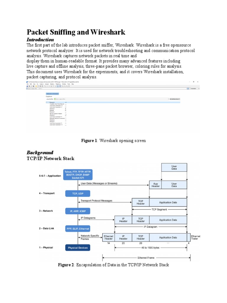 Packet Sniffing and Protocol Analysis with Wireshark | PDF | Internet Protocol Suite | Internet ...