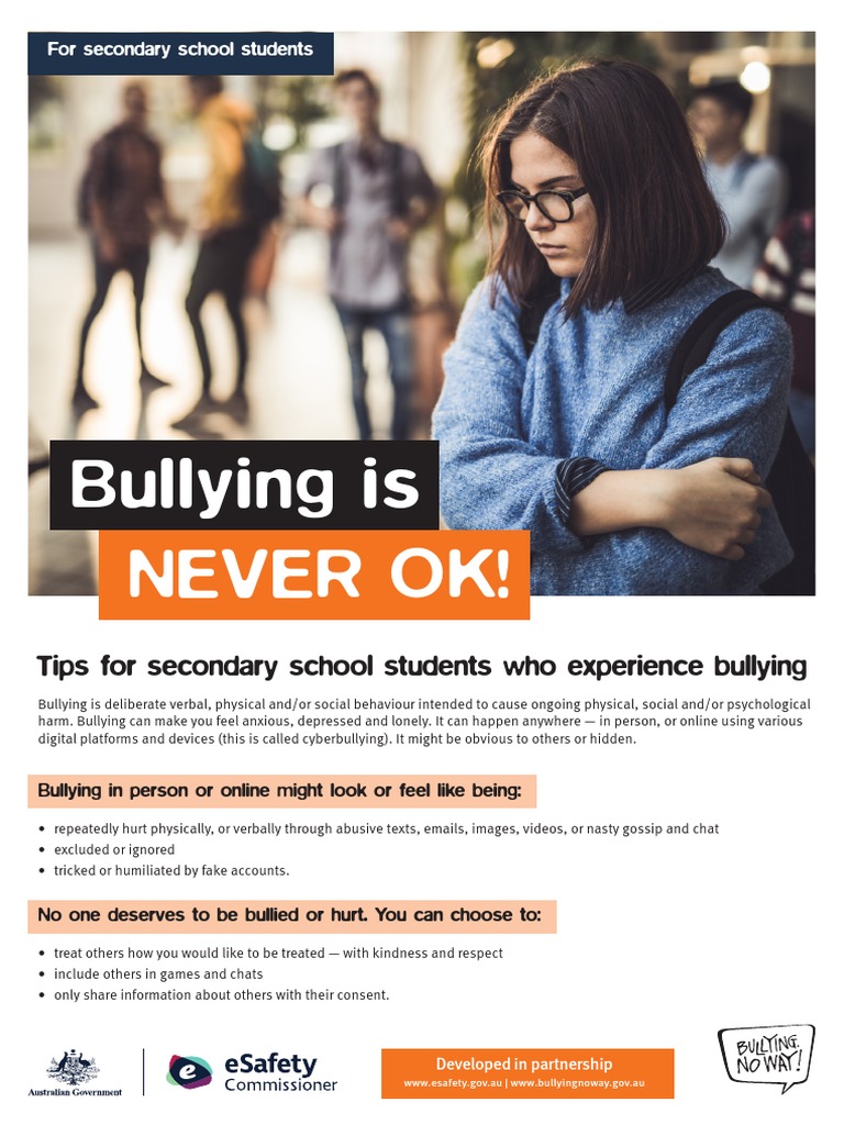 Secondary-School-Students-Cyberbullying-Fact-Sheet 1 | PDF ...