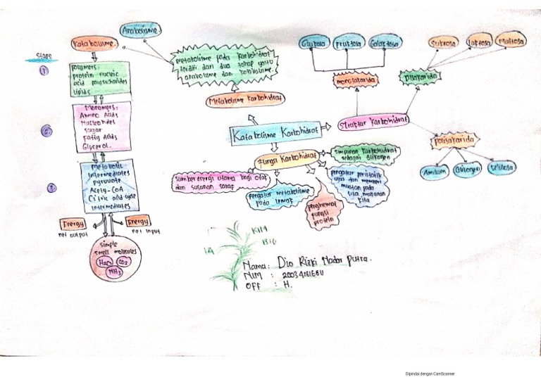 Mind Map Karbohidrat Dio Rizki N.P | PDF
