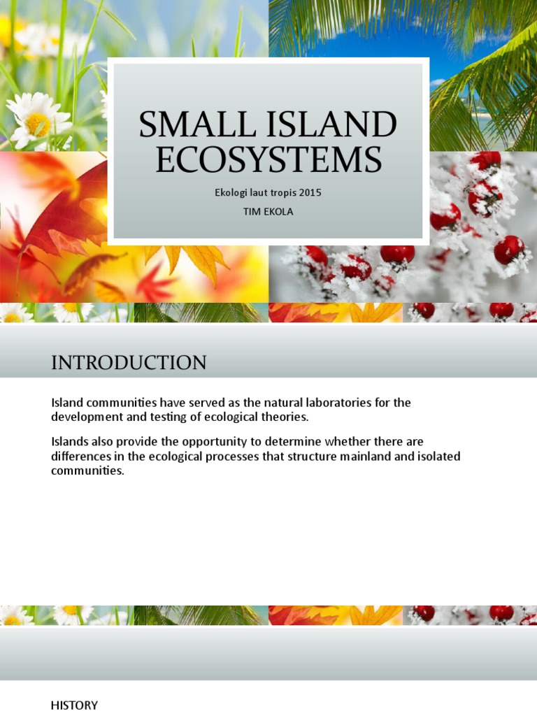 Island Ecology | PDF | Island | Biogeography