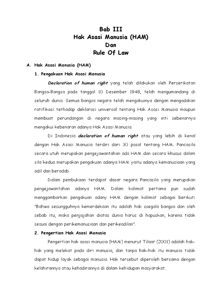 BAB 3 Hak Asasi Manusia (HAM) & Rule of Law | PDF