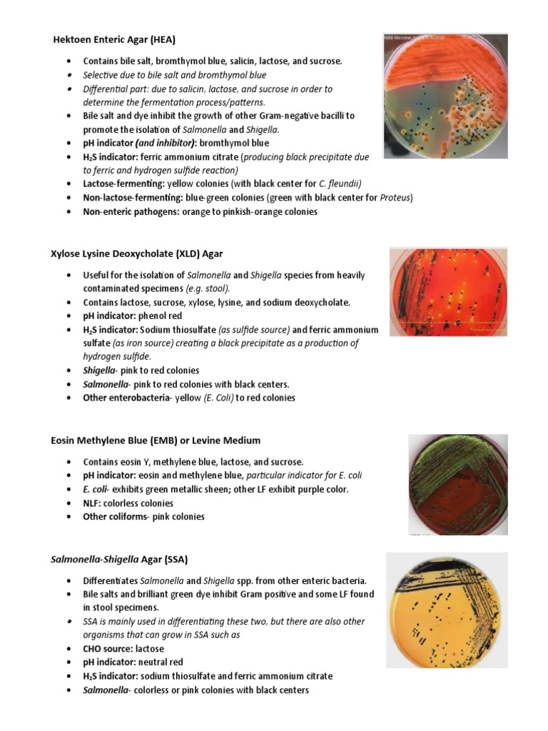 Hektoen Enteric Agar