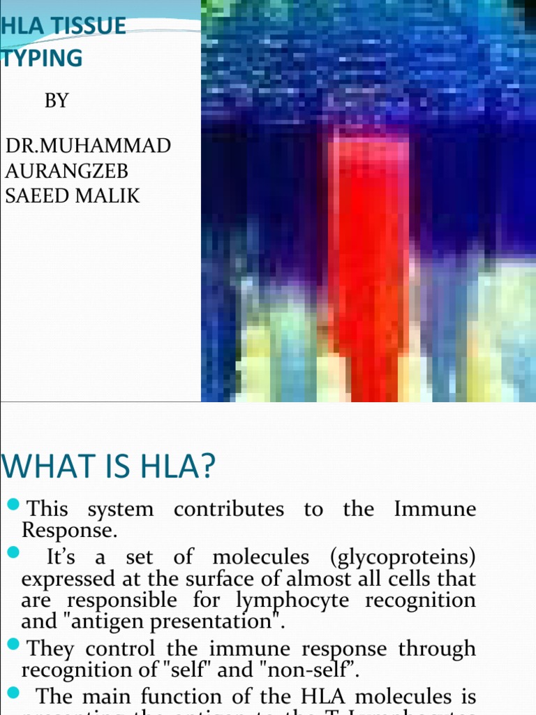 HLA Tissue Typing Explained | PDF | Structural Biology | Human ...