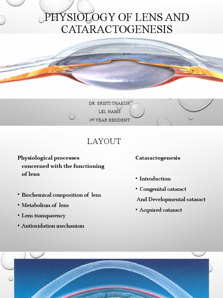 Physiology of the Lens: Processes that Maintain Transparency and ...