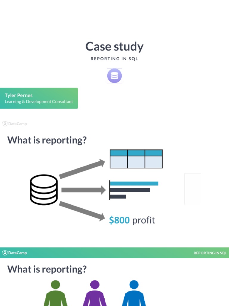 Case Study: Tyler Pernes | Download Free PDF | Sql | Information ...