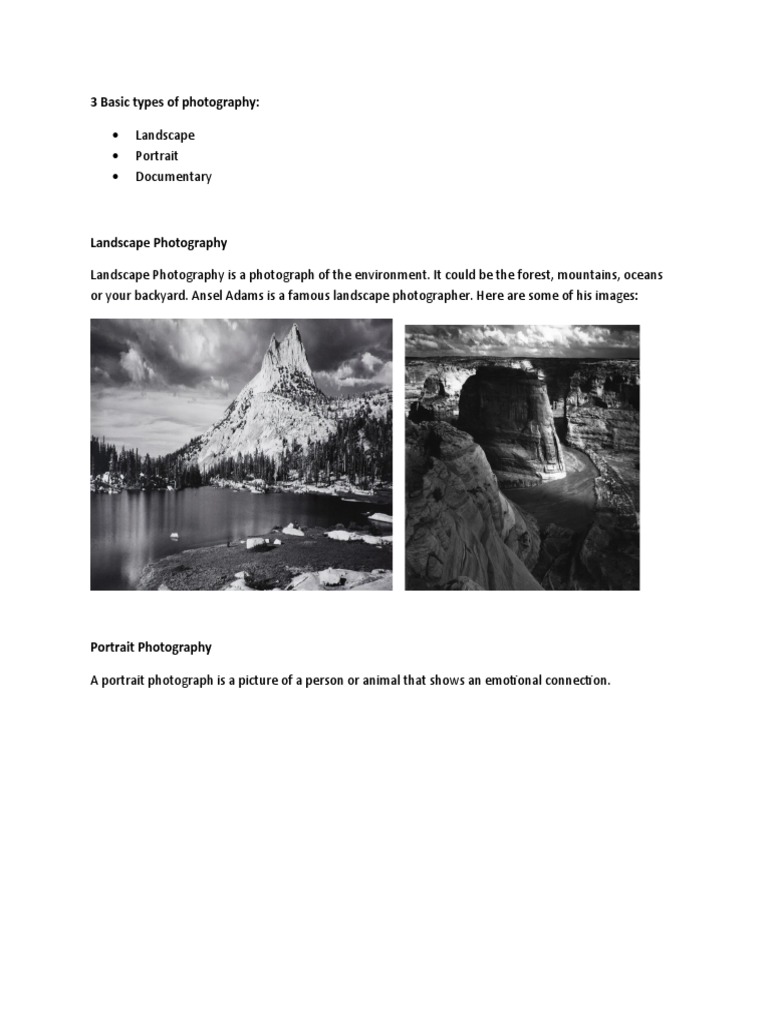 Three Basic Photography Types | PDF | Art | General Fiction
