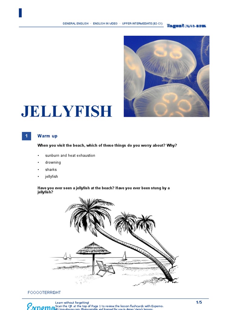 Jellyfish NatGeo - Video Lesson | PDF | Nature