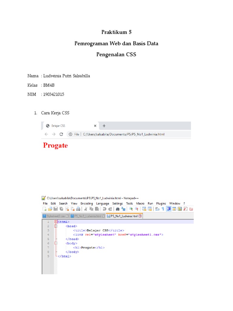 Praktikum 5 Pemrograman Web Dan Basis Data Pengenalan CSS | PDF
