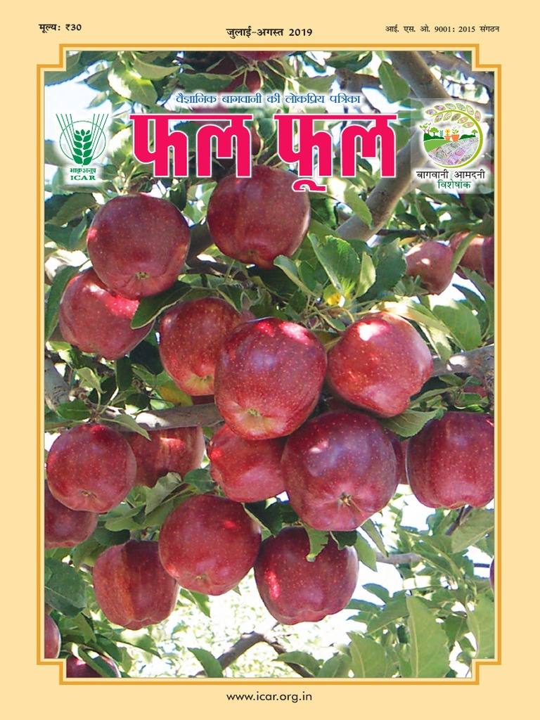 Phal Phool: Hindi Usage Guide | PDF