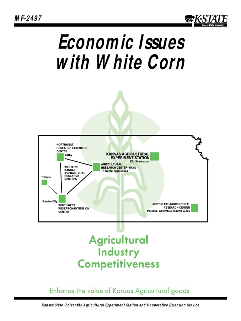 Economic Trends in White Corn Production | PDF | Maize | Southern ...