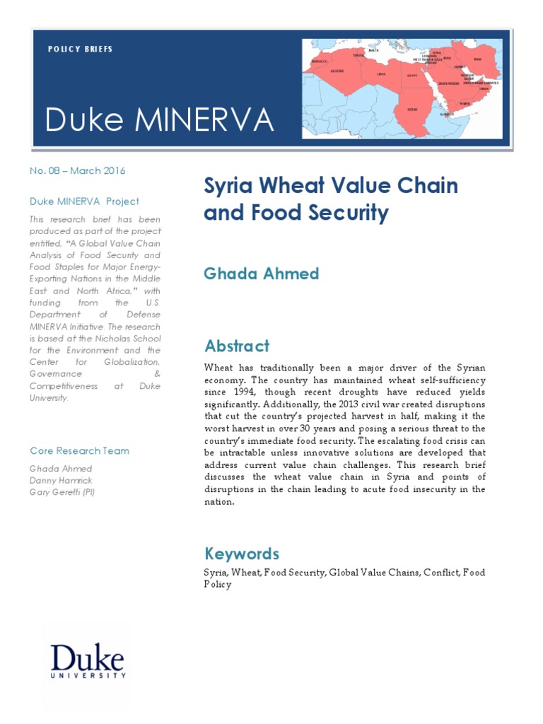 Syria Wheat Crisis & Food Security | PDF | Subsidy | Wheat