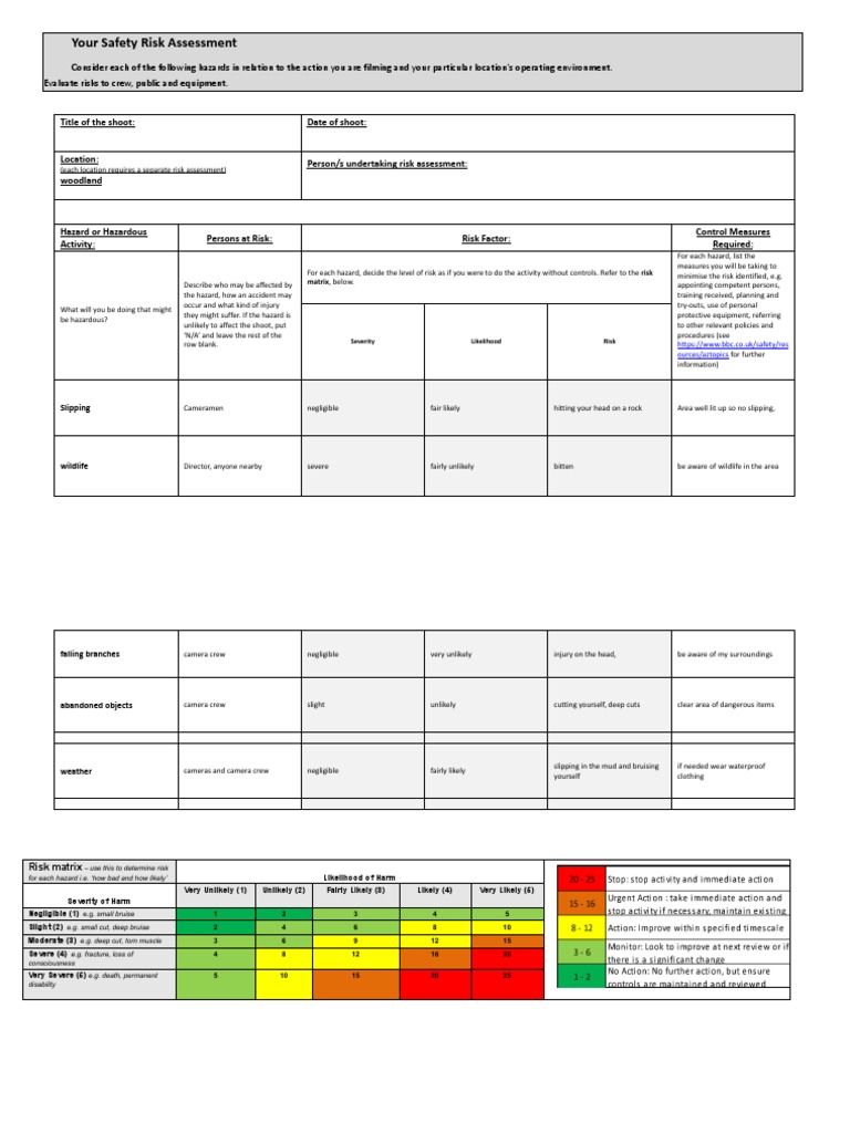 The Lost Camp Risk Assessment | PDF