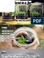 Seed Germination Report Sample (Easy) | PDF | Seedling | Seed
