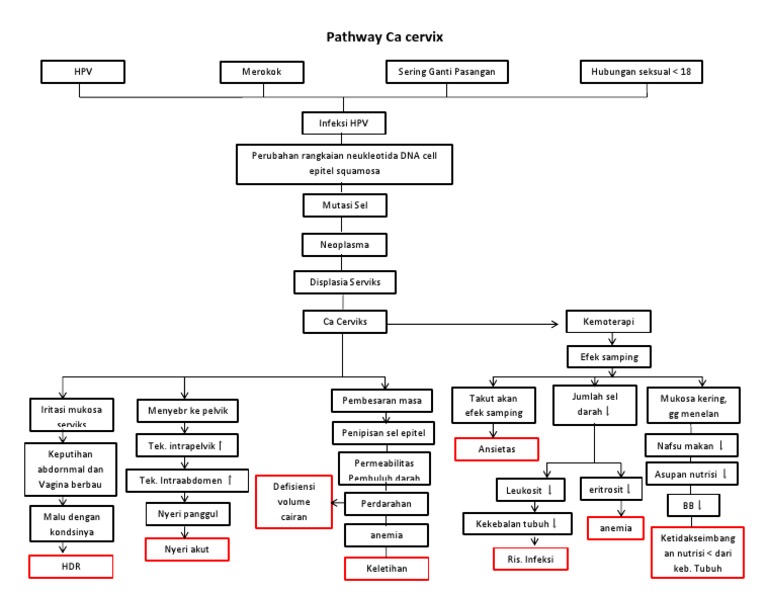 Pathway CA Cervix | PDF