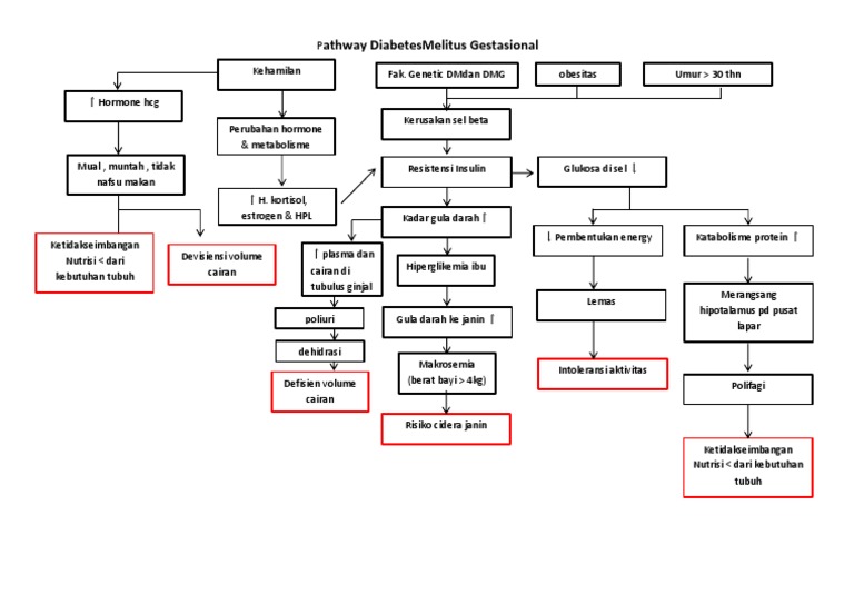 Pathway DiabetesMelitus Gestasional | PDF