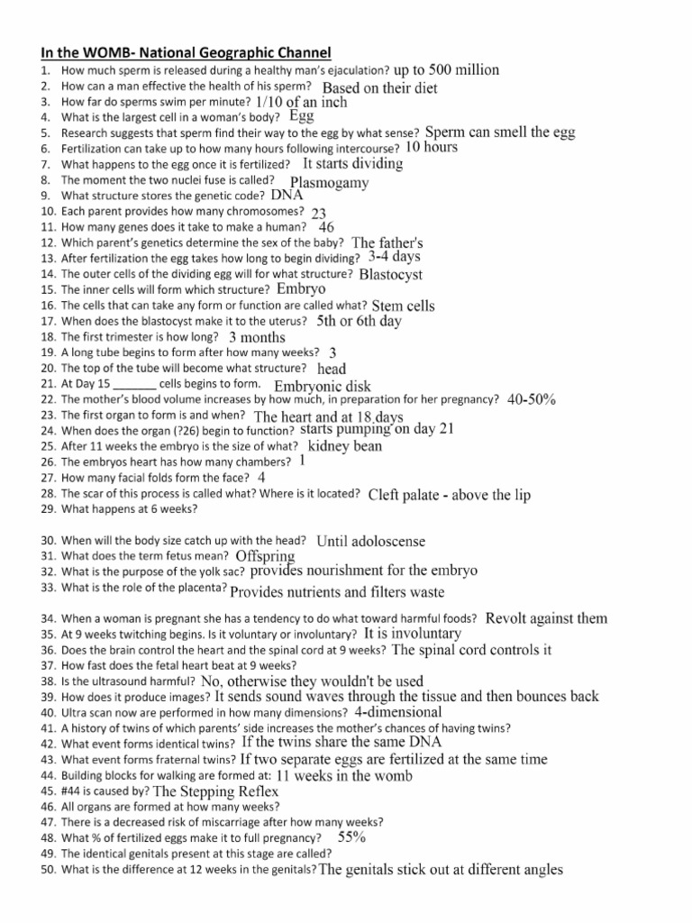 In The Womb Questions | PDF